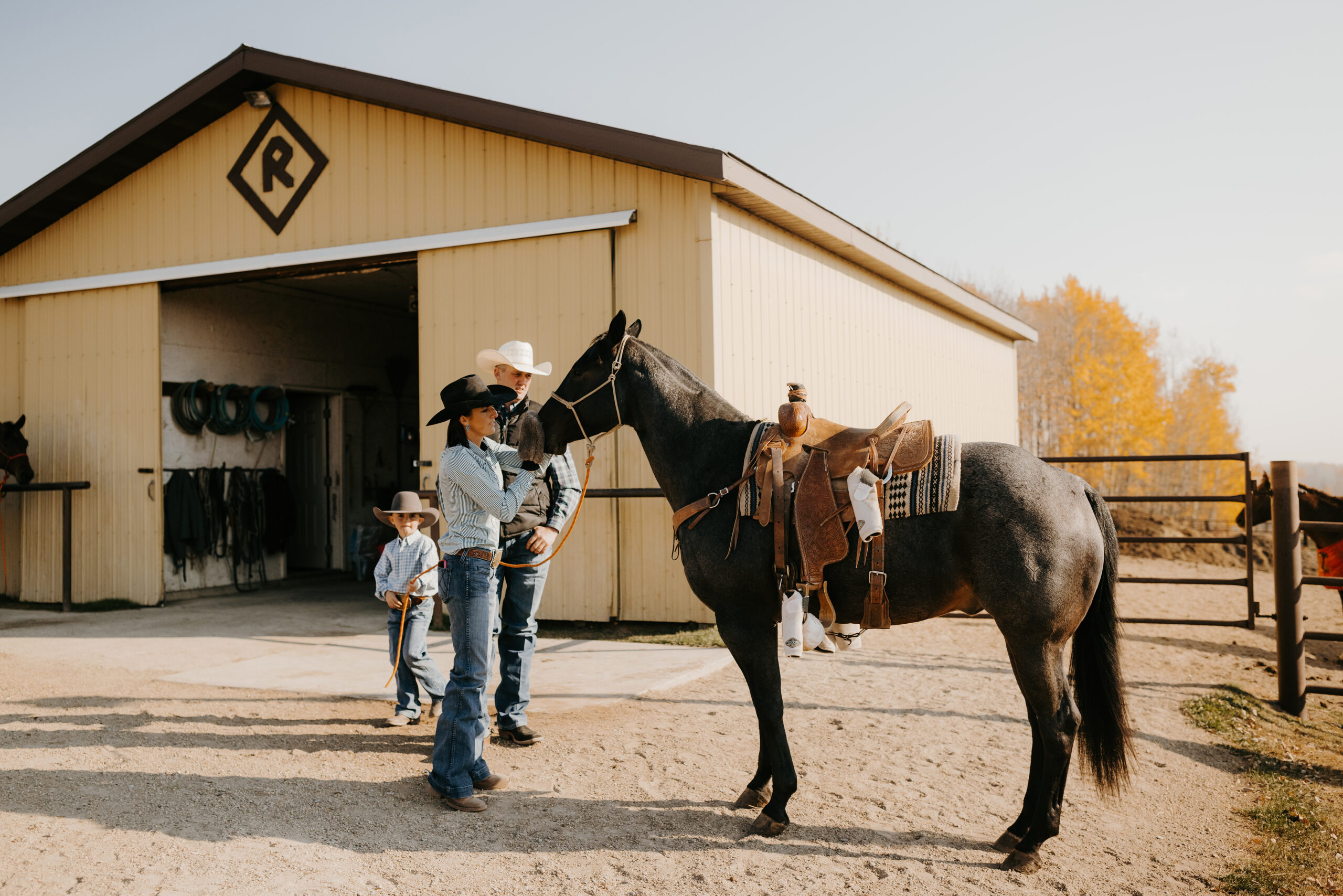 Peterson Performance Horses