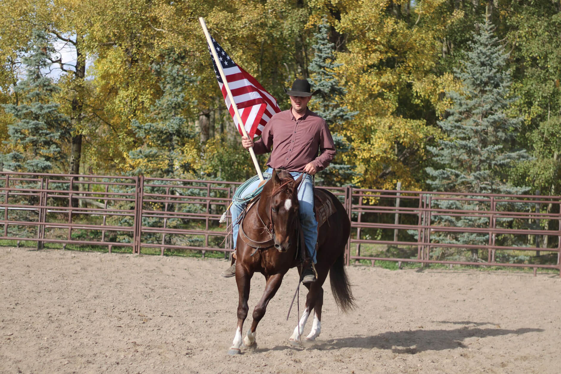 Legacy In Every Ride – Peterson Performance Horses